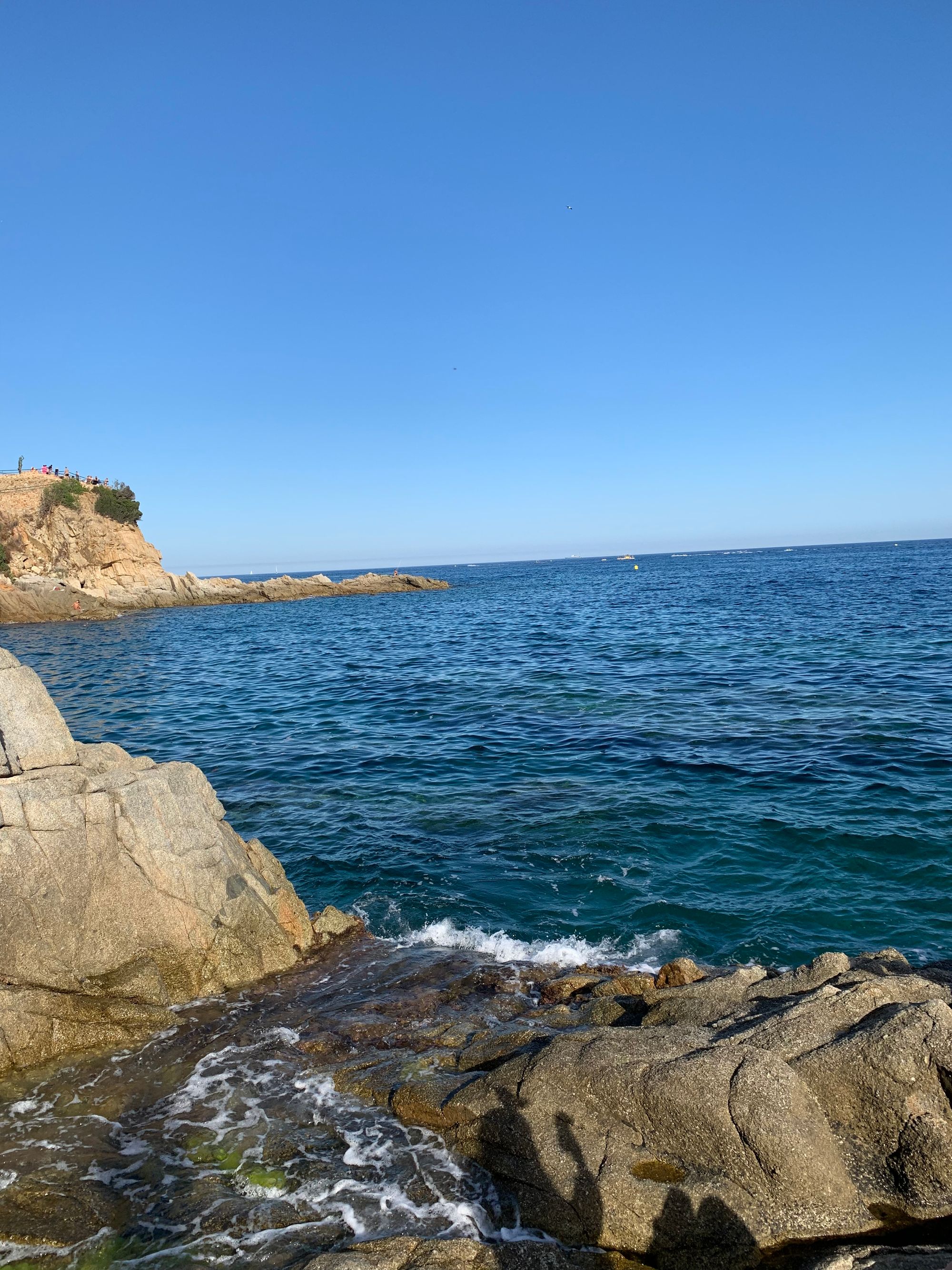 La vecchia che giocava a scacchi sul mare (Nato il 24/08/2022)